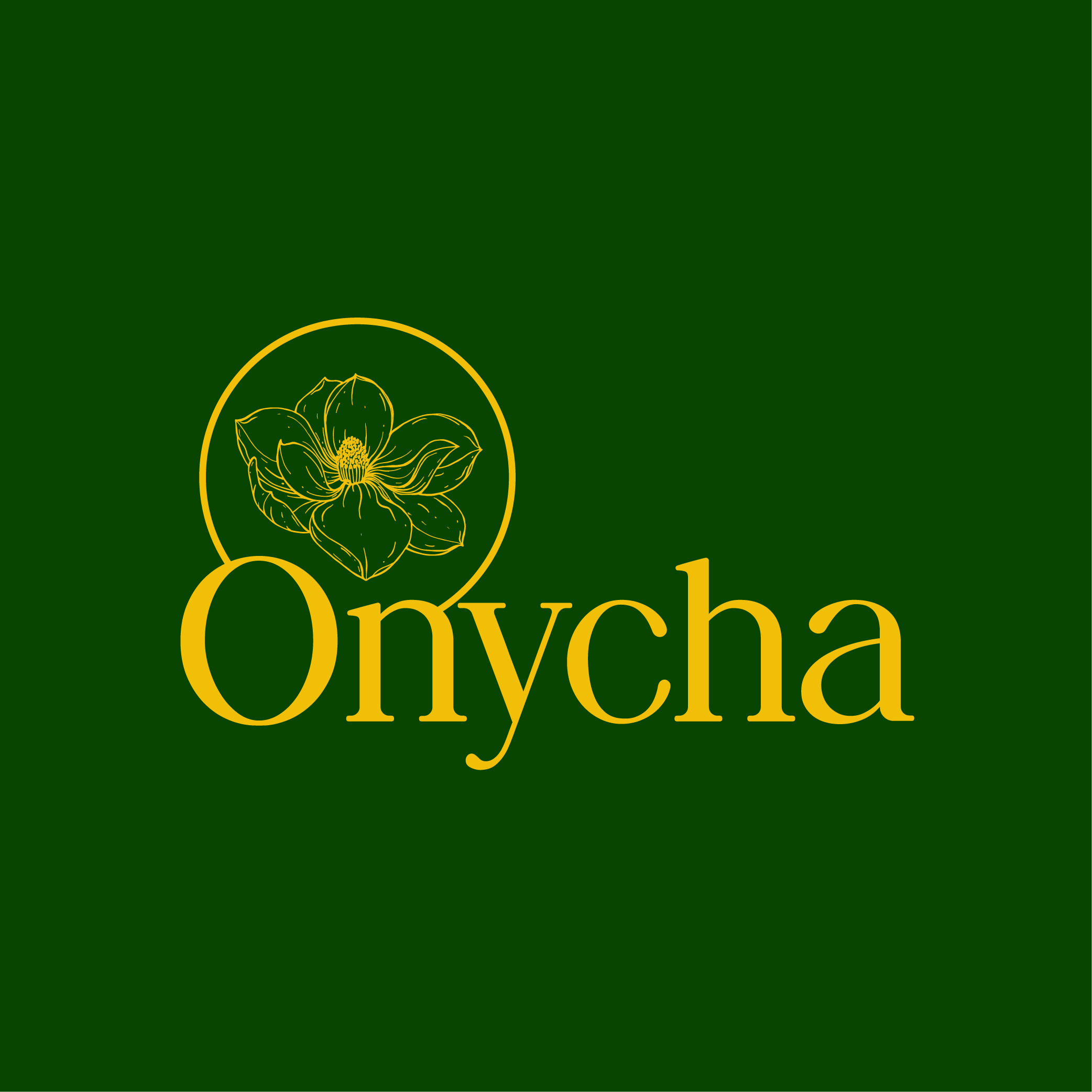 Onycha Perfumes E Colônias